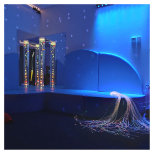 Sensory Module 2 - SENSOTEC