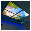 LED Sky Tiles - With Trees - SENSOTEC