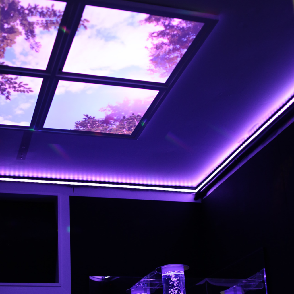 School Sensory Room at Gralee Leeton: Case Study