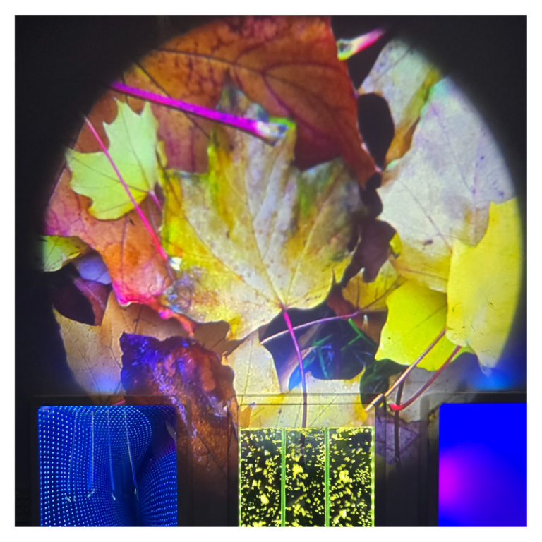 Spinning Projector - SENSOTEC